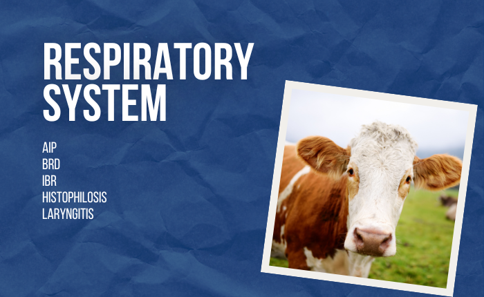 Courses Archive - Alberta Cattle Feeders' Association